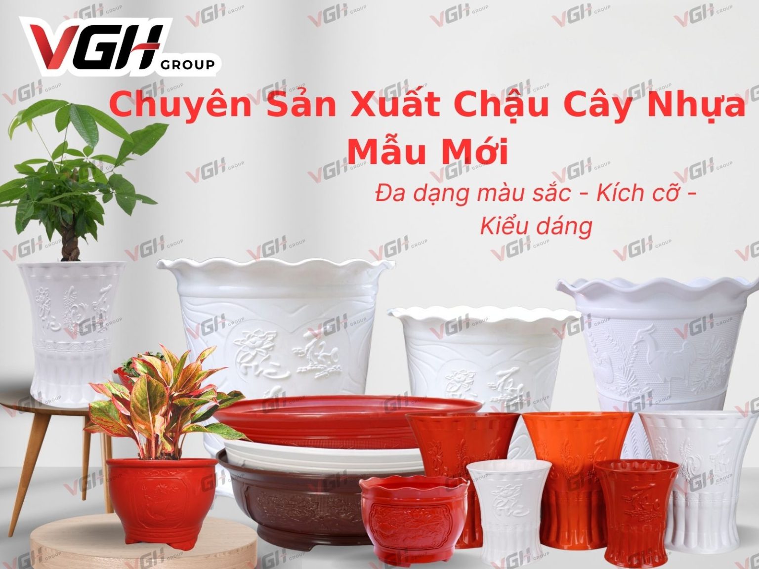 Chậu Nhựa Trồng Cây Mẫu Vương Miện - VGH Group - SX Kinh Doanh Bao Bì ...
